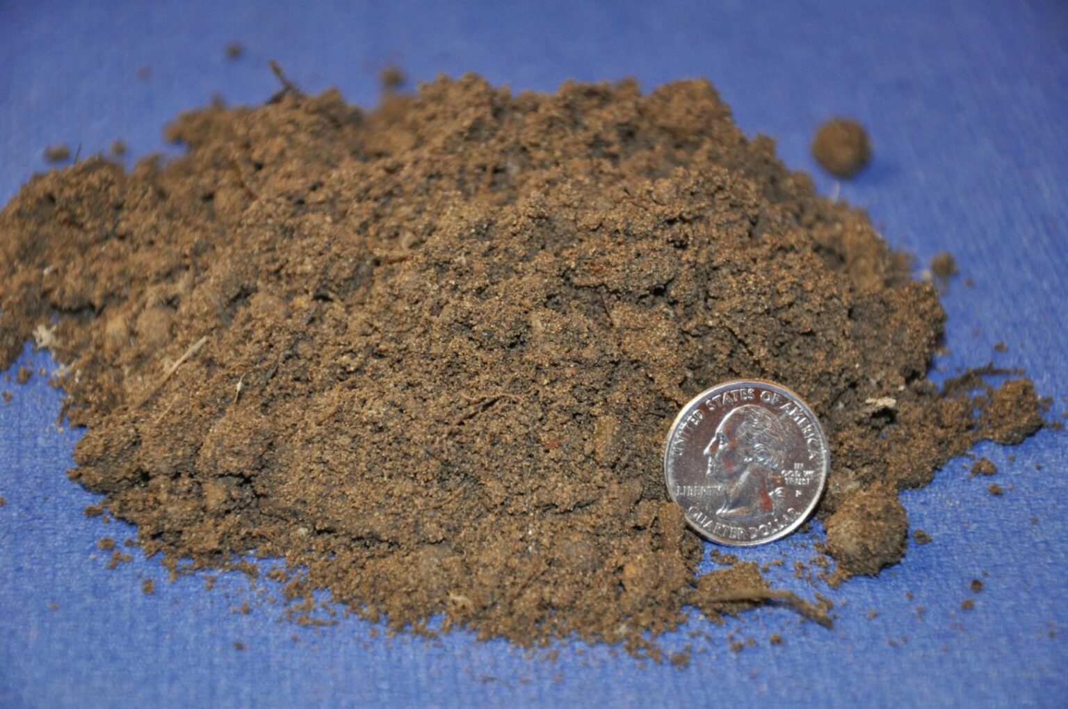 Lawn Mix - Randle Sand and gravels